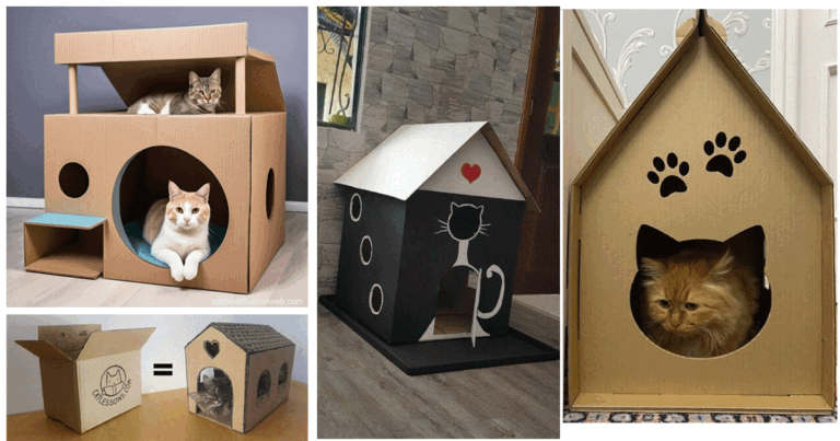 Cómo hacer casas para gatos con cajas de cartón - Dale Detalles